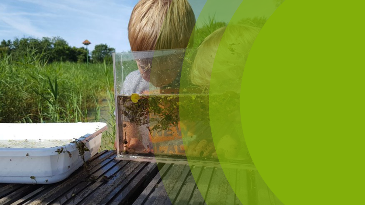 Ziber SenseView Information Screen for Schools and Childcare ...