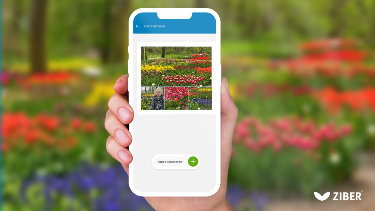 Photo album now also mobile! - Ziber parent communication platform Photo album now also mobile! - Ziber parent communication platform